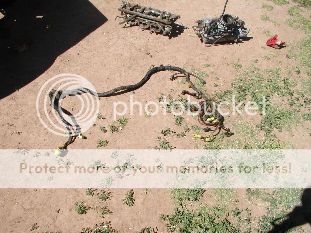 5mge build (tearing off the 7m head) tons of pics! | Toyota Celica ...